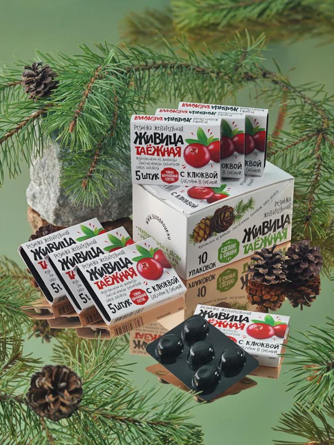 Natural Taiga Pine Resin Chewing Gum With Cranberry – 10 Packs Sugar ...