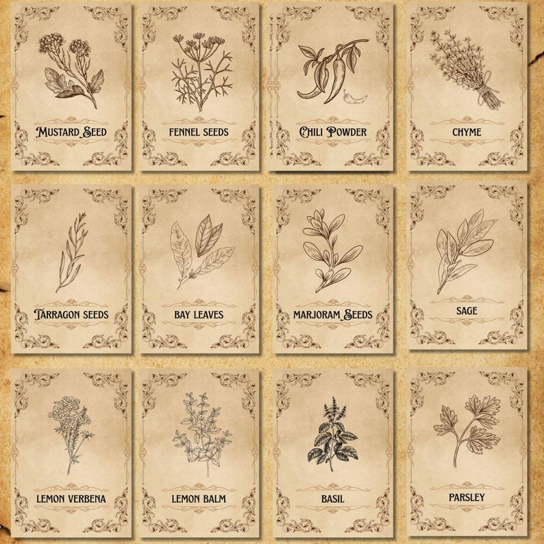 Apothecary Spice Jar Labels, Printable Apothecary Bottle Labels, Custom Vintage Potion Labels ...