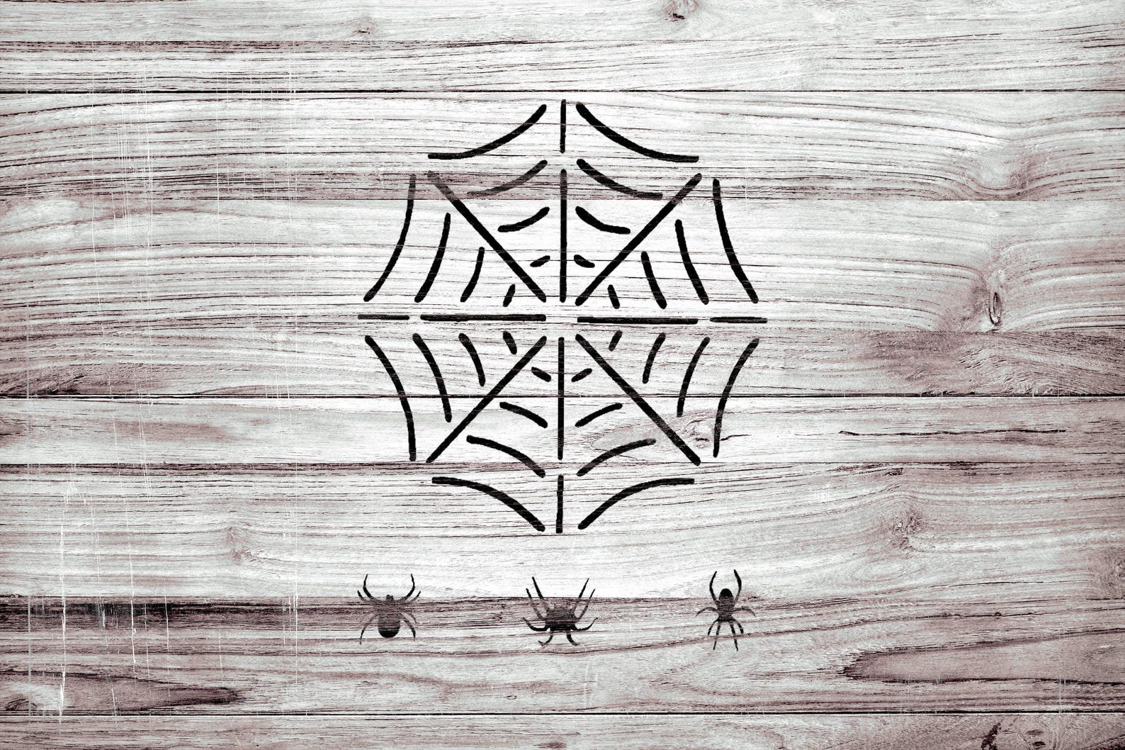 Spider Web & Spiders Stencils for Painting 8.5 X 11 Inch – Reusable ...