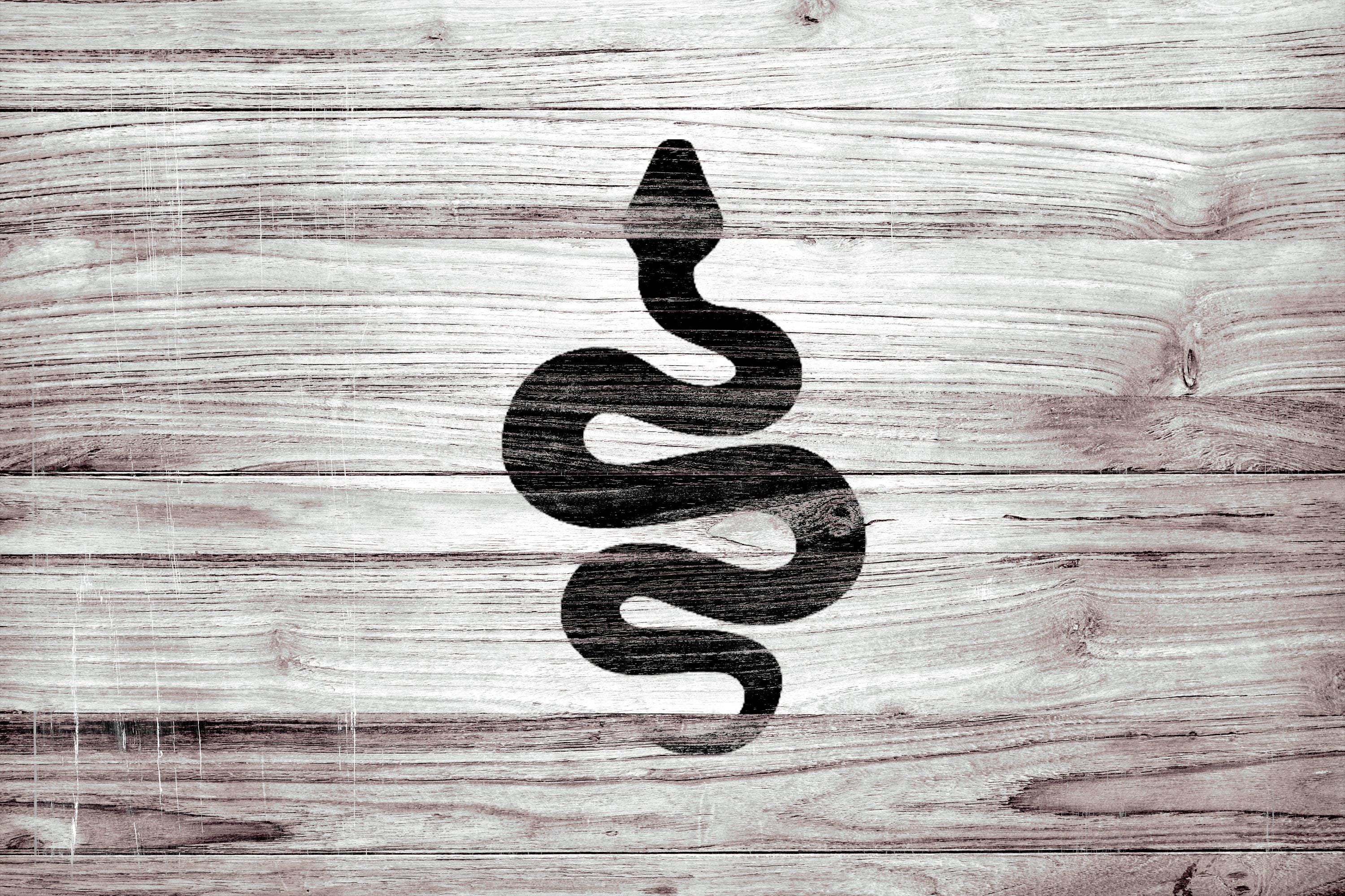 Snake Stencils for Painting 4x4 Inch – Reusable Plastic Template for ...