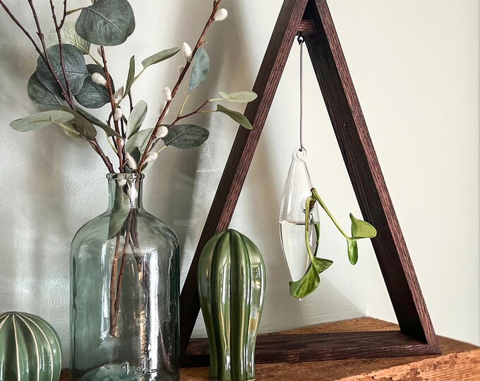 Unique Plant Lover's Air Plant Frame - Versatile Oak Display With ...