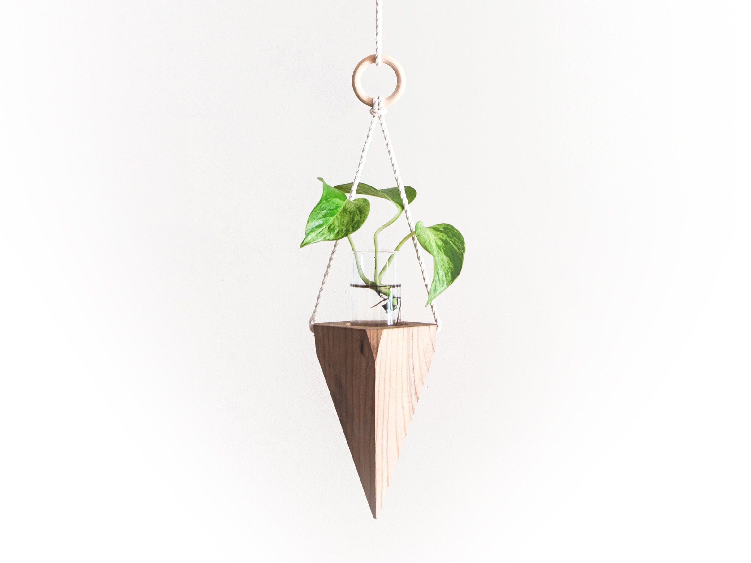 Elegant Hanging Wall Planter Set Modern Home Decor Indoor Plant Hangers ...