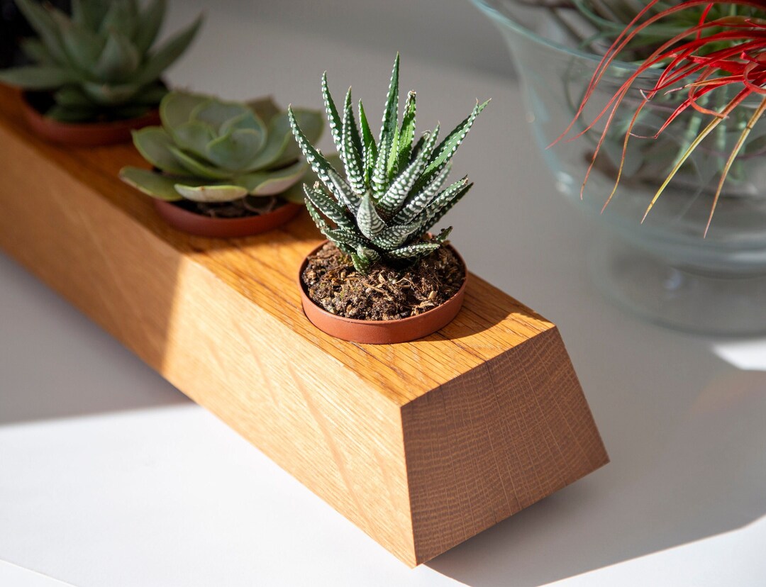 Rare Unique Modern Succulent Planter Reclaimed Wood Succulent Trio ...