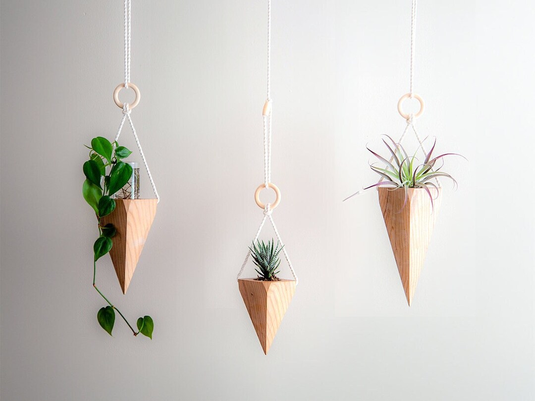 Elegant Hanging Wall Planter Set - Modern Home Decor Indoor Plant ...