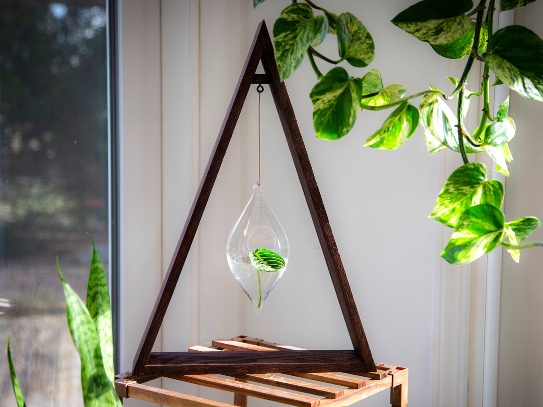 Unique Plant Frame - Stylish Air Plant & Succulent Display ...