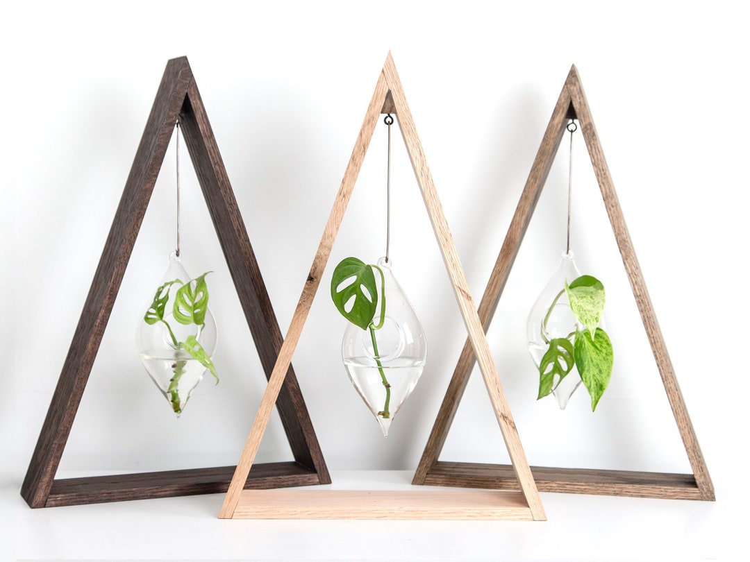 2024's Trending Custom Air Plant Frame - Choose Glass Vase or Metal ...