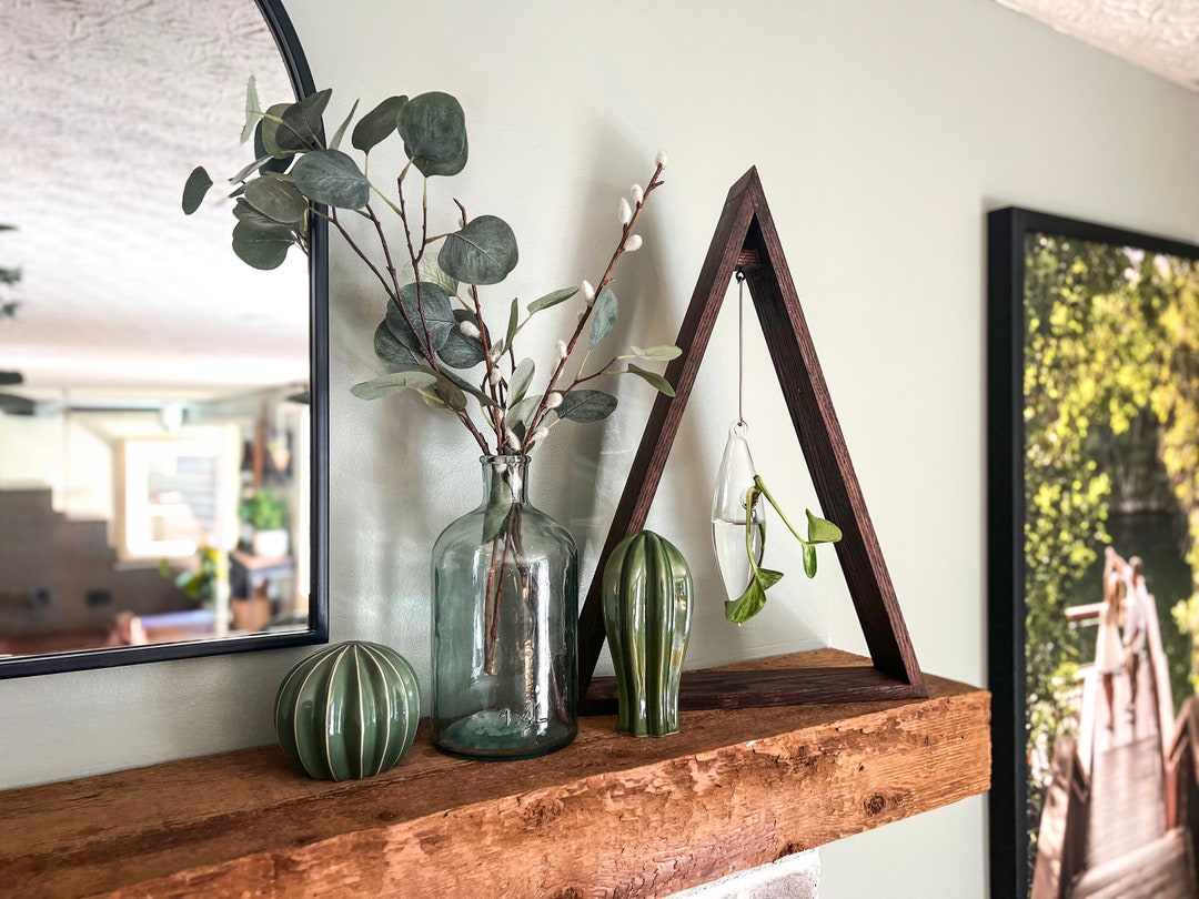 Unique Plant Lover's Air Plant Frame - Versatile Oak Display With ...