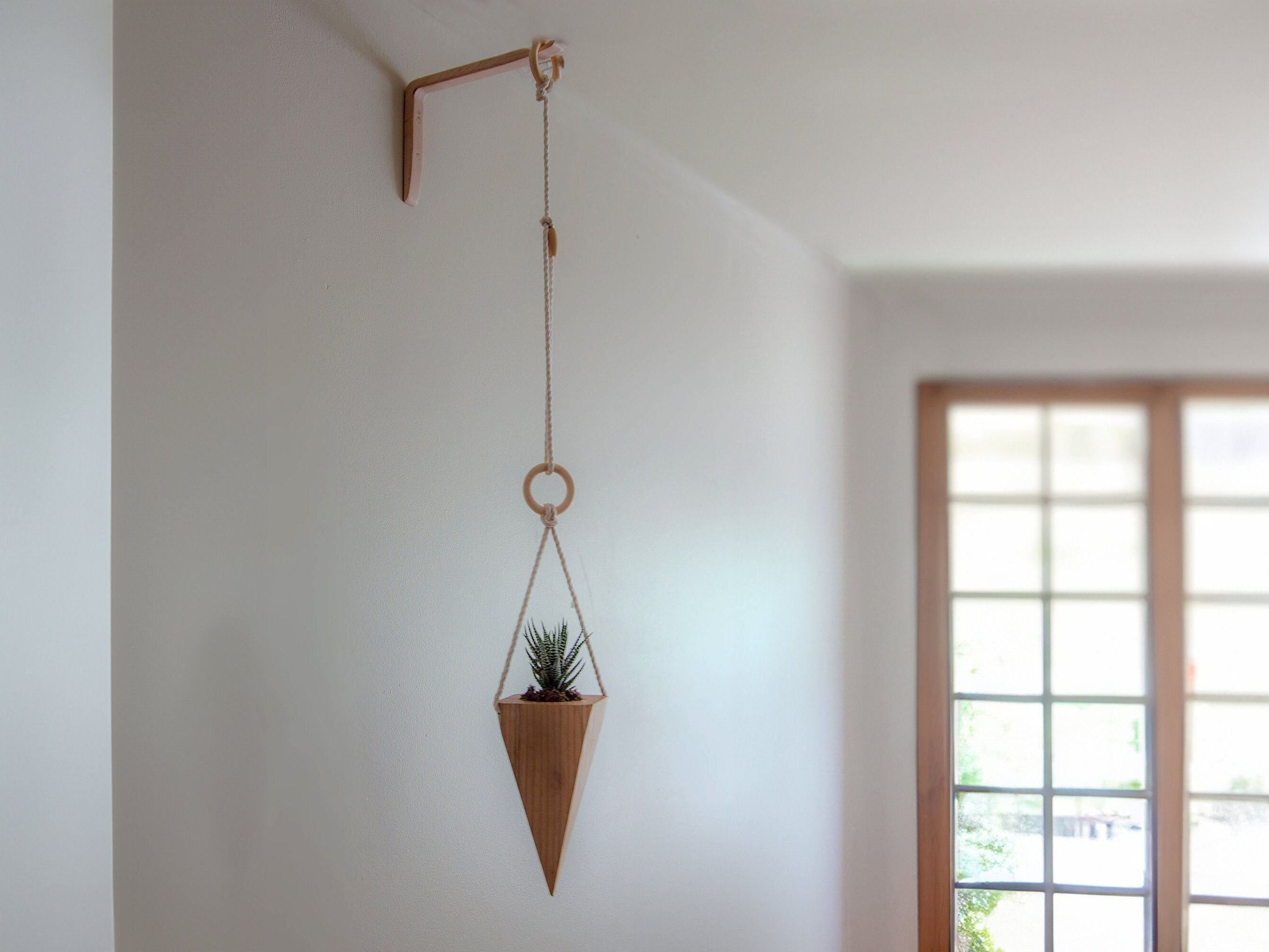 Elegant Hanging Wall Planter Set Modern Home Decor Indoor Plant Hangers ...