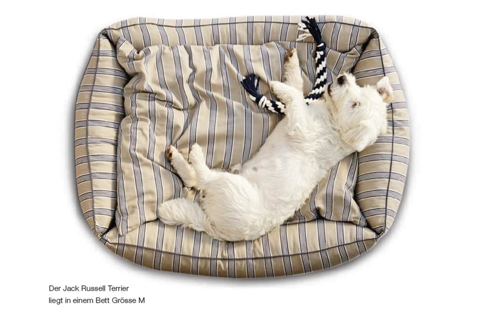 Sewing Pattern for a Dog Bed. for Small, Medium and Large Dogs. or Cats ...