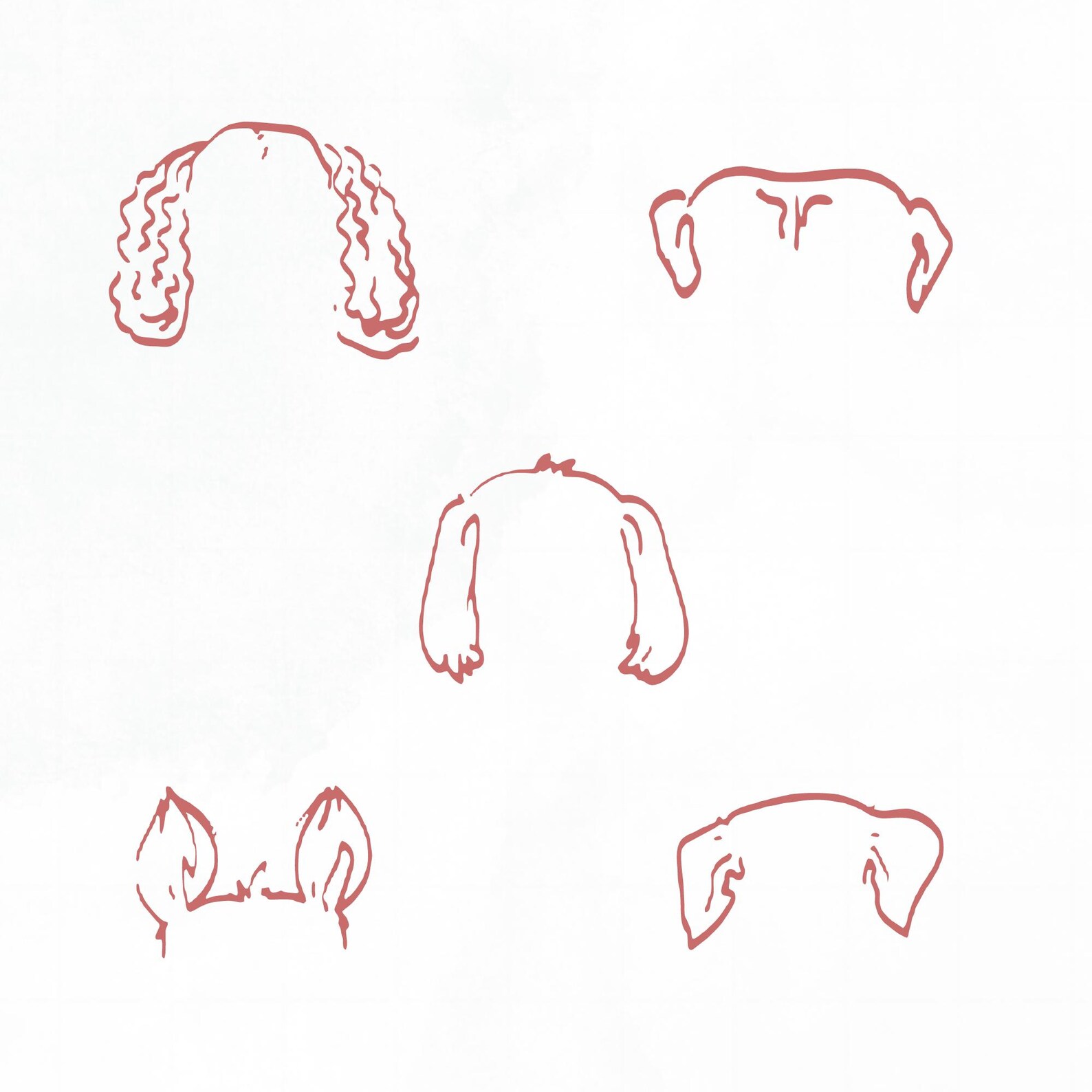 Dog Breed Ears Svg Bundle, Dog Ear Outline Clipart for Cricut, Dog Ear ...