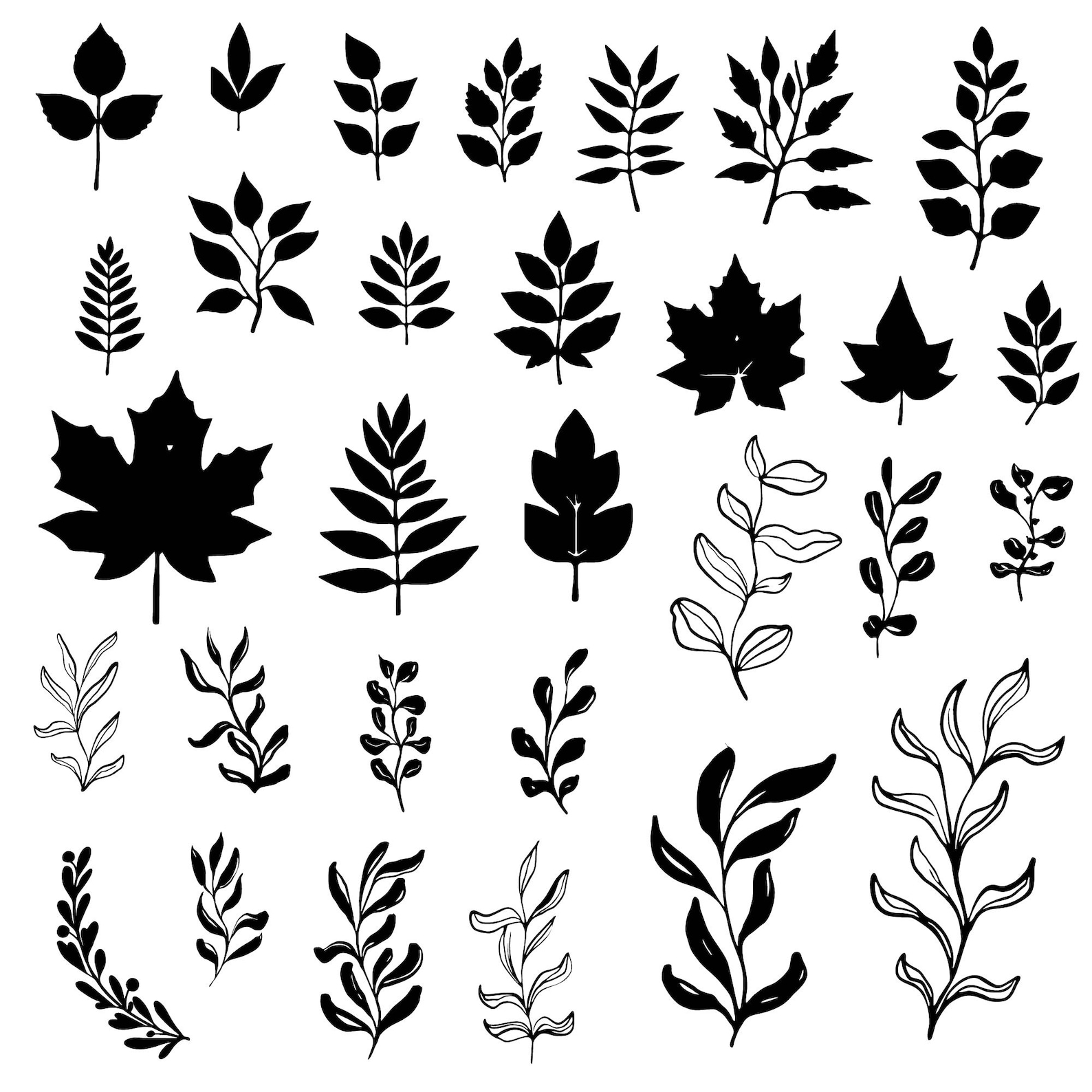 Botanical Leaves Svg Bundle, Botanical Leaves Clipart for Cricut ...