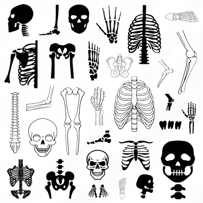 Skeleton Bones Svg - Etsy