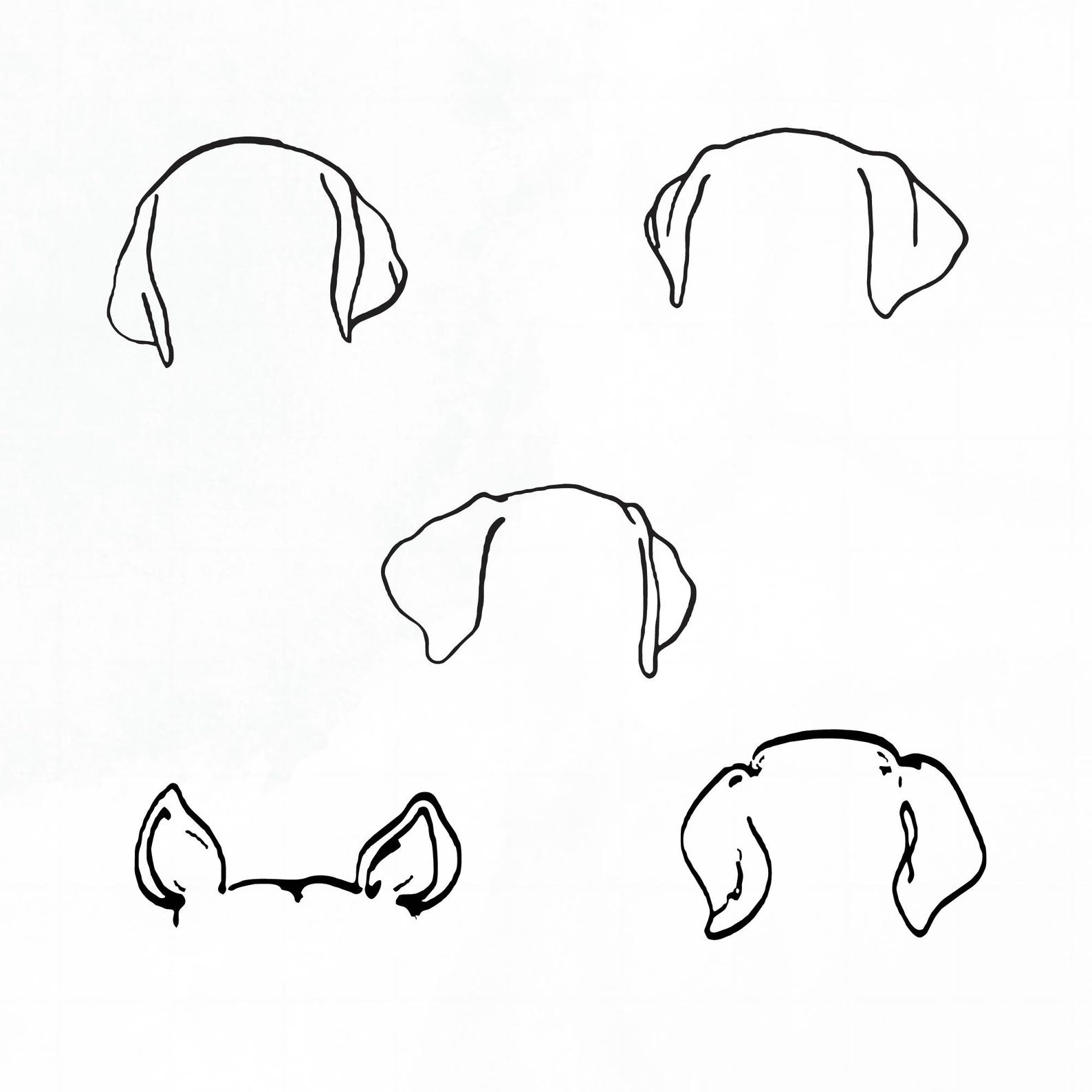 Dog Breed Ears Svg Bundle, Dog Ear Outline Clipart for Cricut, Dog Ear ...
