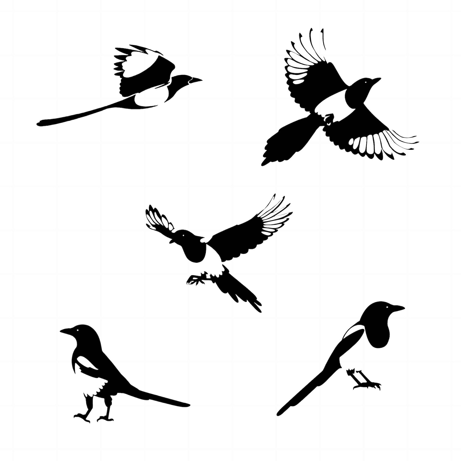 Magpie Svg Bundle, Magpie Clipart for Cricut, Cute Magpie Silhouette ...