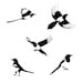 Magpie Svg Bundle, Magpie Clipart for Cricut, Cute Magpie Silhouette ...