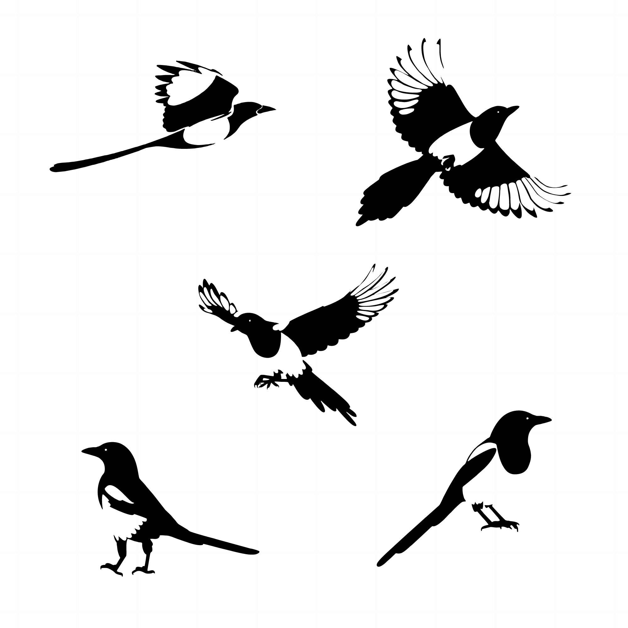 Magpie Svg Bundle, Magpie Clipart for Cricut, Cute Magpie Silhouette ...