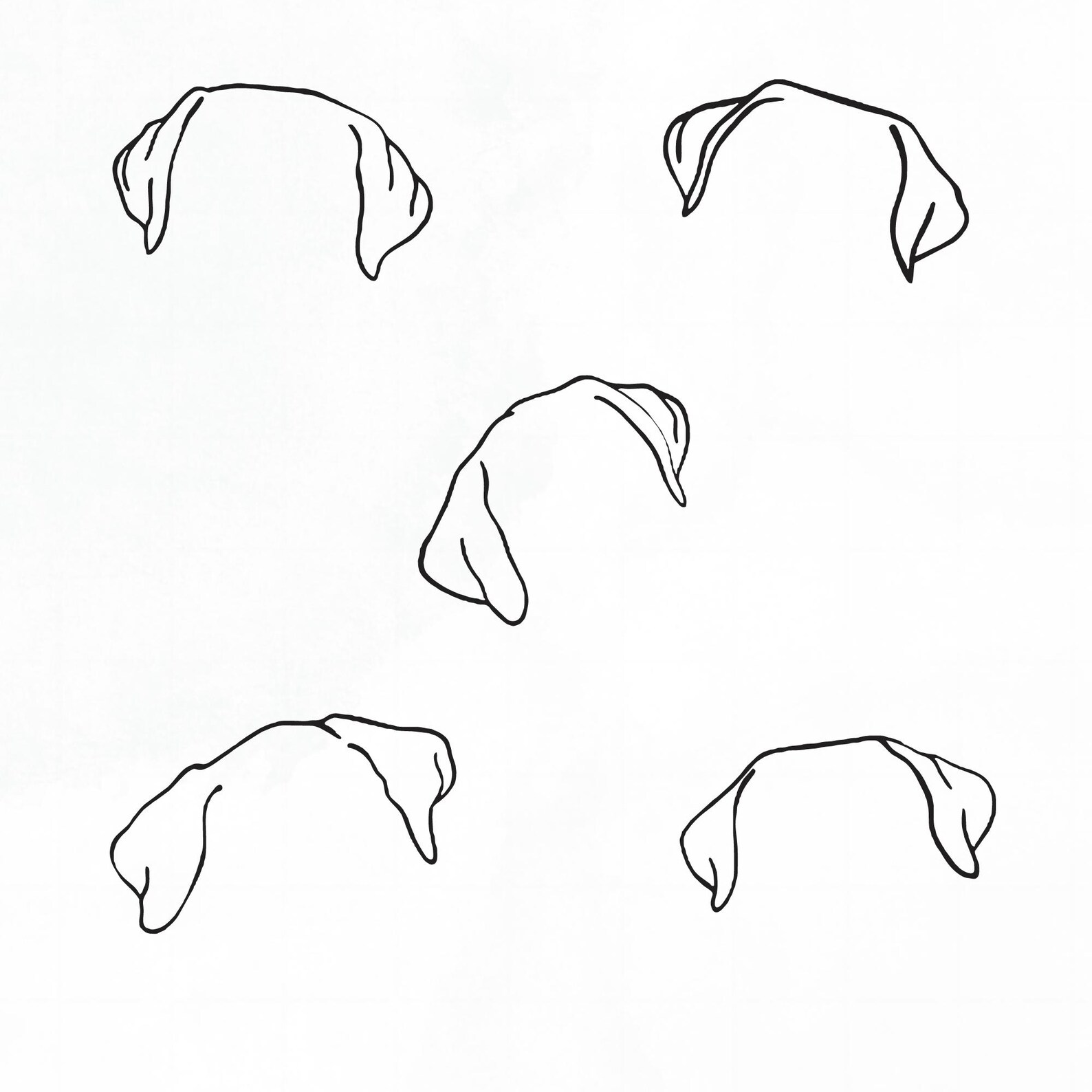 Dog Breed Ears Svg Bundle, Dog Ear Outline Clipart for Cricut, Dog Ear ...