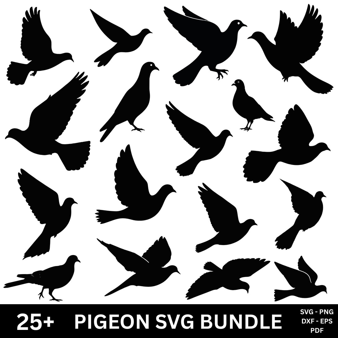 Pigeon Svg Bundle, Pigeon Silhouette, Pigeon Cut Files for Circut, Dove ...