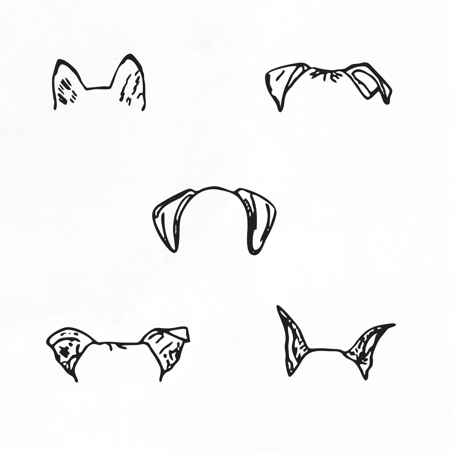 Dog Breed Ears Svg Bundle, Dog Ear Outline Clipart for Cricut, Dog Ear ...