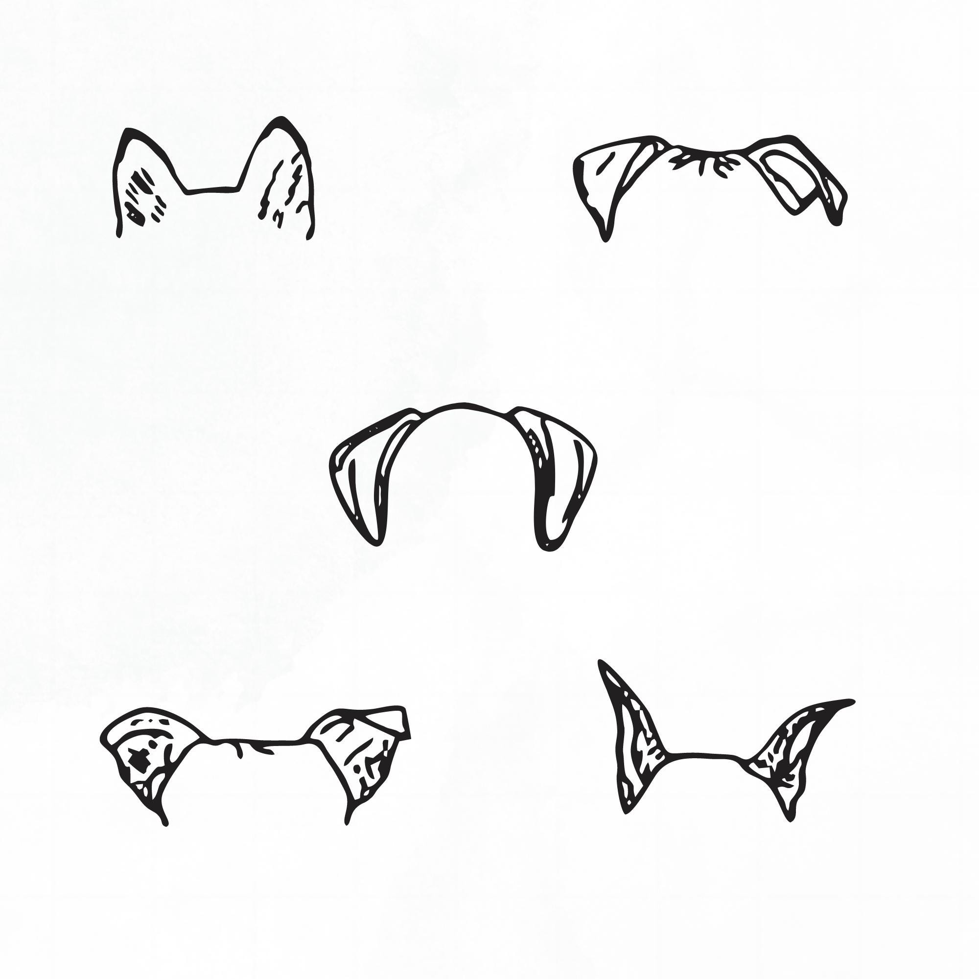 Dog Breed Ears Svg Bundle, Dog Ear Outline Clipart for Cricut, Dog Ear ...