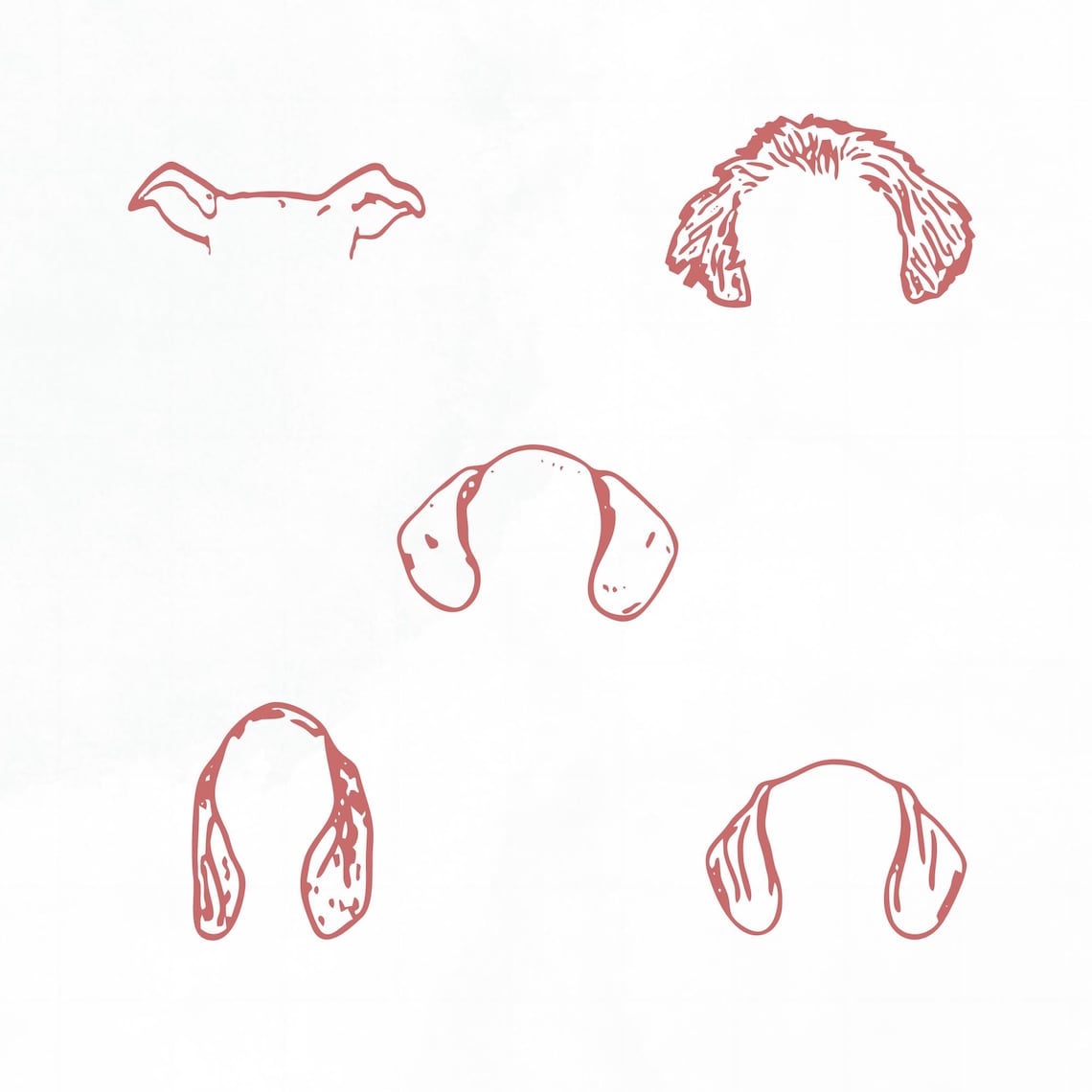 Dog Breed Ears Svg Bundle, Dog Ear Outline Clipart for Cricut, Dog Ear ...