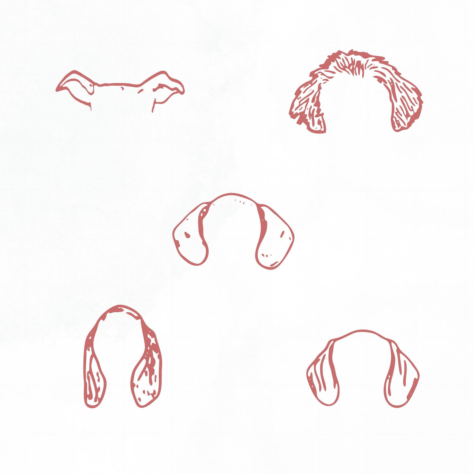 Dog Breed Ears Svg Bundle, Dog Ear Outline Clipart for Cricut, Dog Ear ...