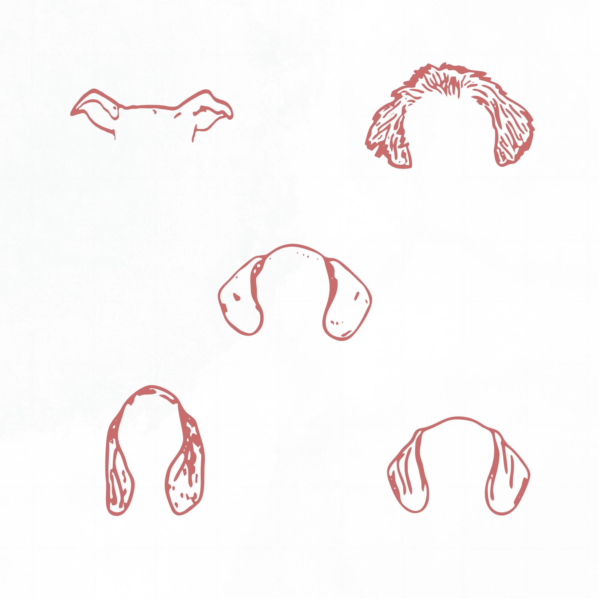 Dog Breed Ears Svg Bundle, Dog Ear Outline Clipart for Cricut, Dog Ear ...