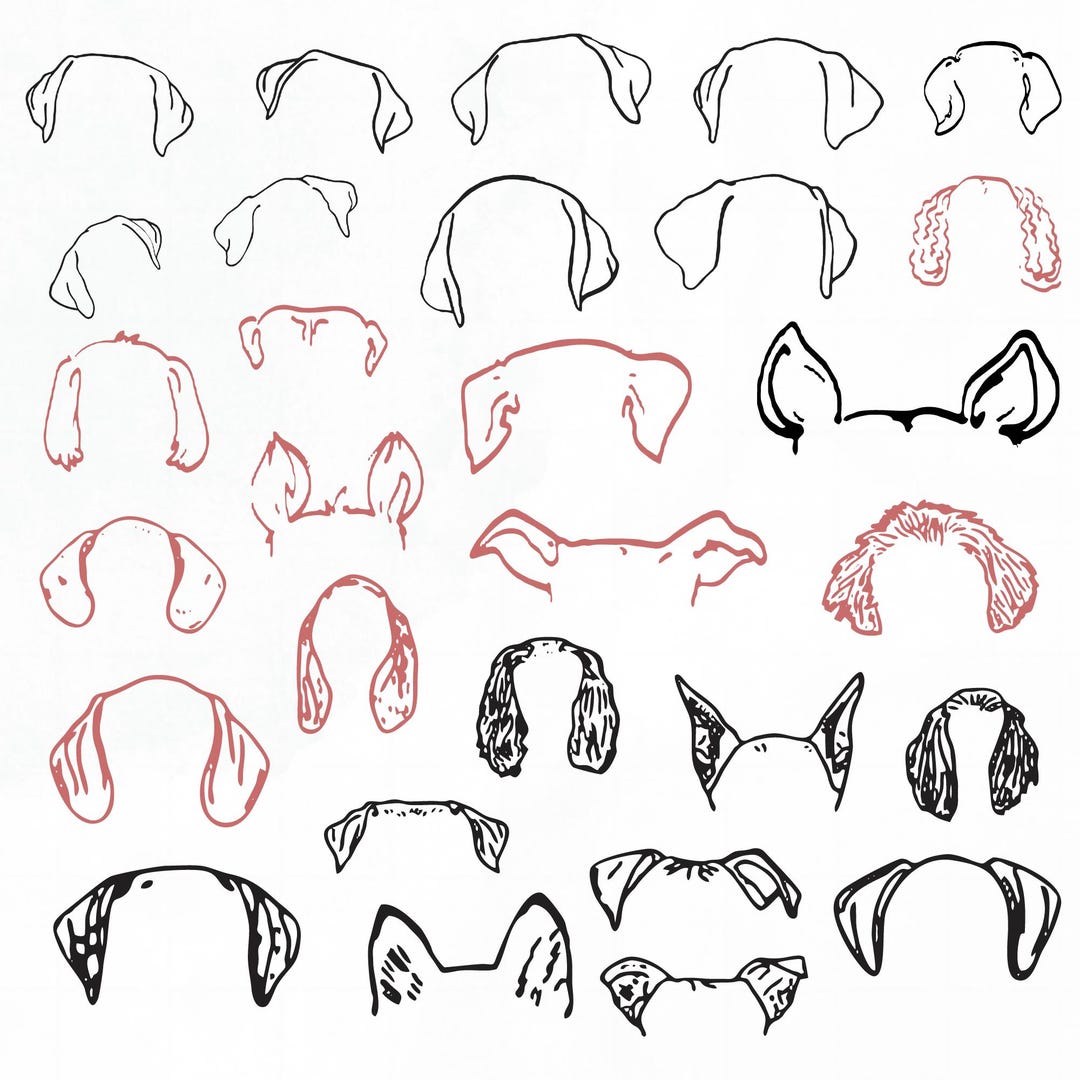Dog Breed Ears Svg Bundle, Dog Ear Outline Clipart for Cricut, Dog Ear ...