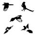 Magpie Svg Bundle, Magpie Clipart for Cricut, Cute Magpie Silhouette ...