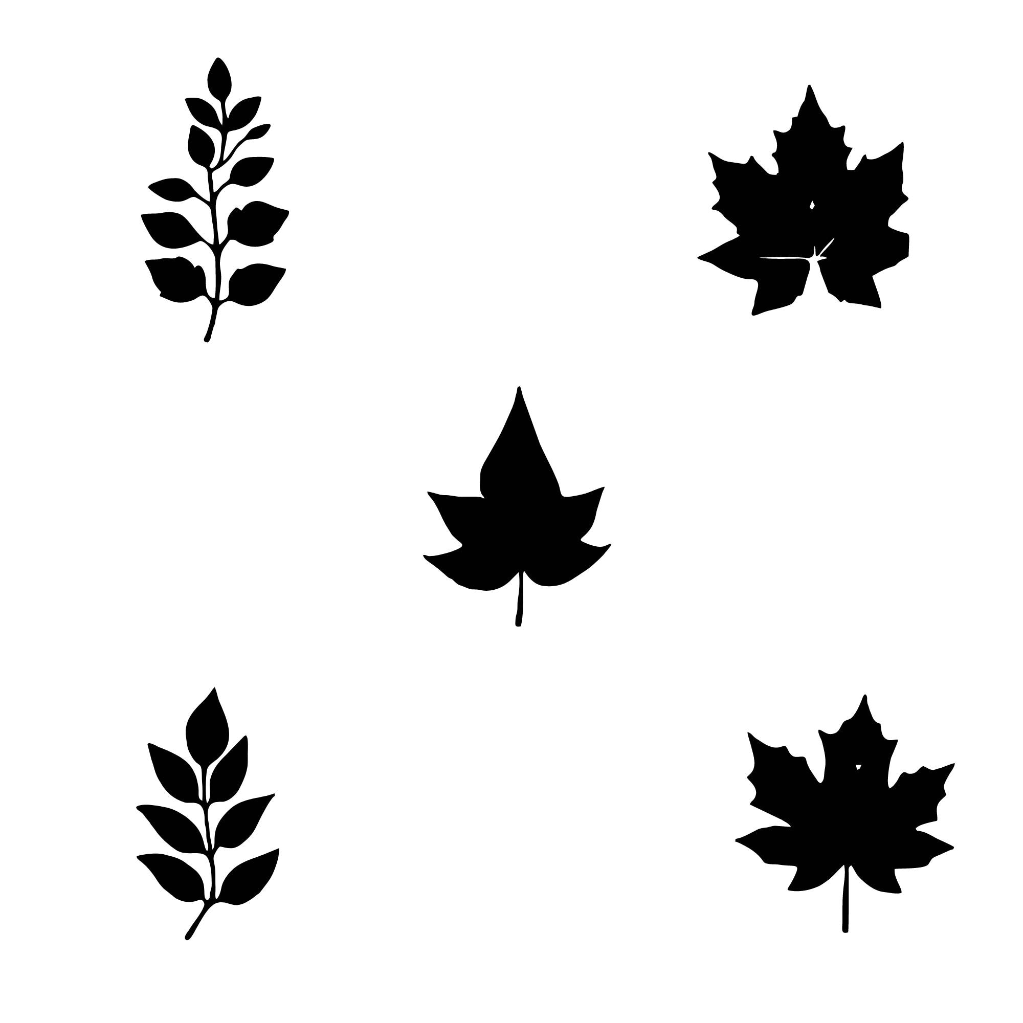 Botanical Leaves Svg Bundle, Botanical Leaves Clipart for Cricut ...