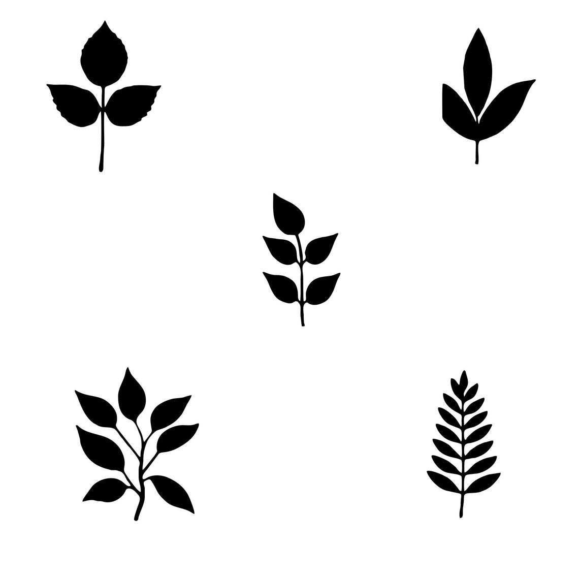 Botanical Leaves Svg Bundle, Botanical Leaves Clipart for Cricut ...