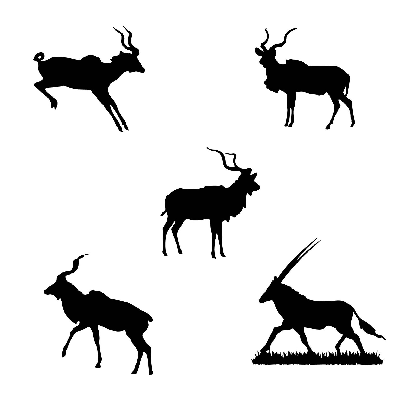 Oryx Svg Bundle, Oryx Clipart for Cricut, Animal Silhouette, Oryx ...