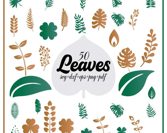 Leaf SVG and PNG Digital Download - Leaf Graphic - Digital Download ...