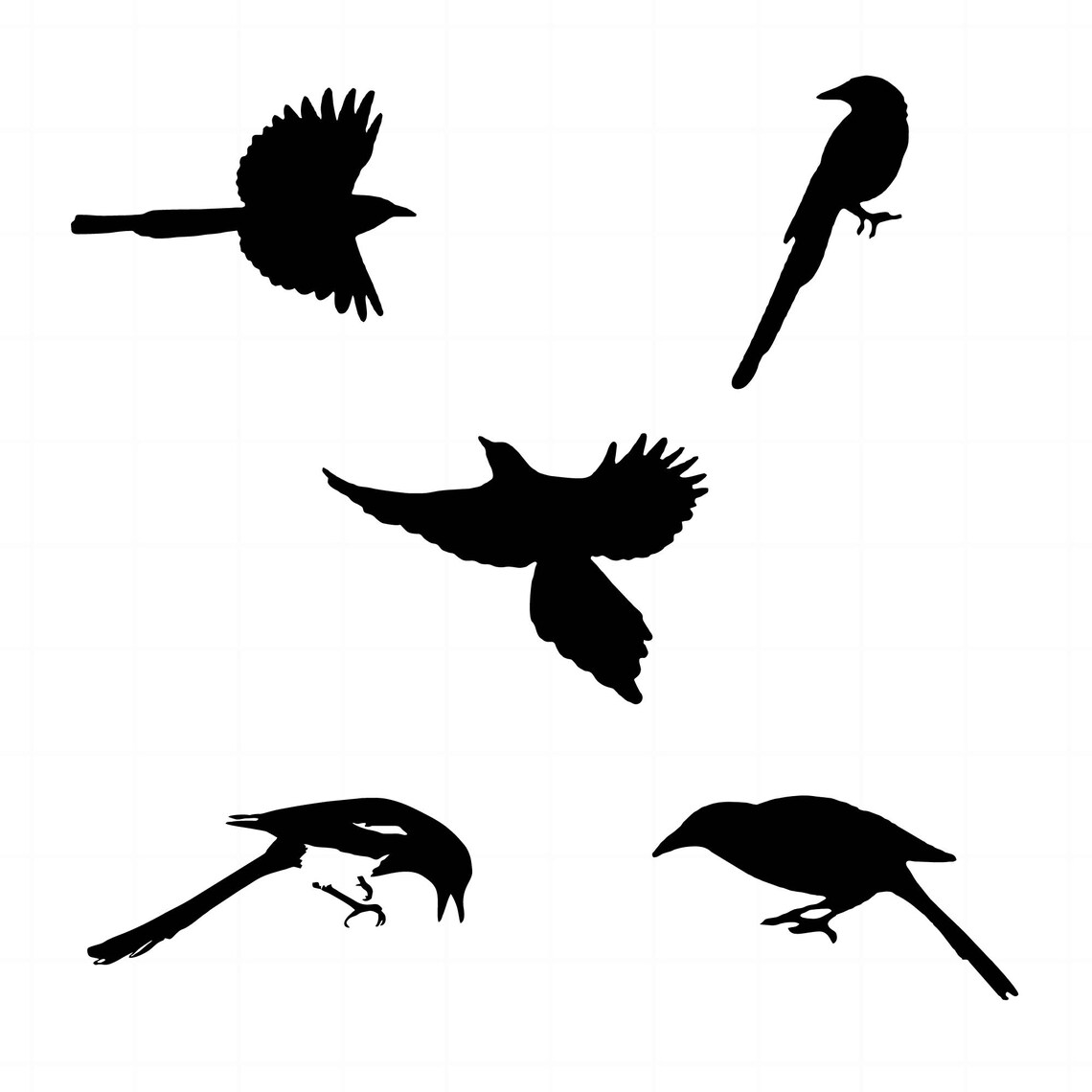 Magpie Svg Bundle, Magpie Clipart for Cricut, Cute Magpie Silhouette ...