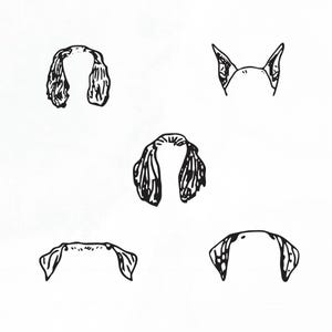 Dog Breed Ears Svg Bundle, Dog Ear Outline Clipart for Cricut, Dog Ear ...