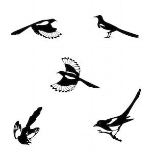 Magpie Svg Bundle, Magpie Clipart for Cricut, Cute Magpie Silhouette ...