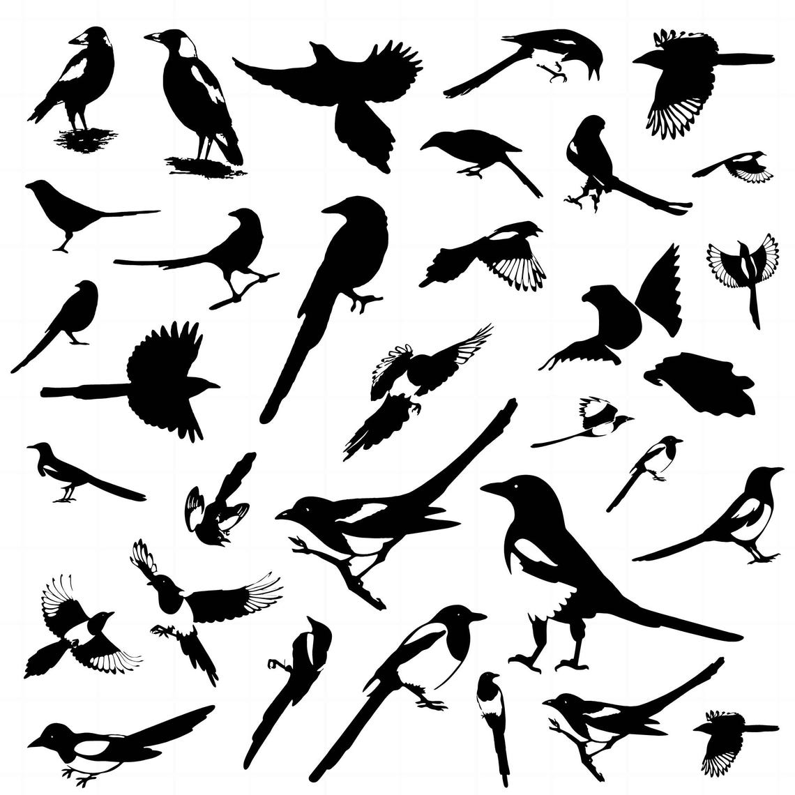 Magpie Svg Bundle, Magpie Clipart for Cricut, Cute Magpie Silhouette ...