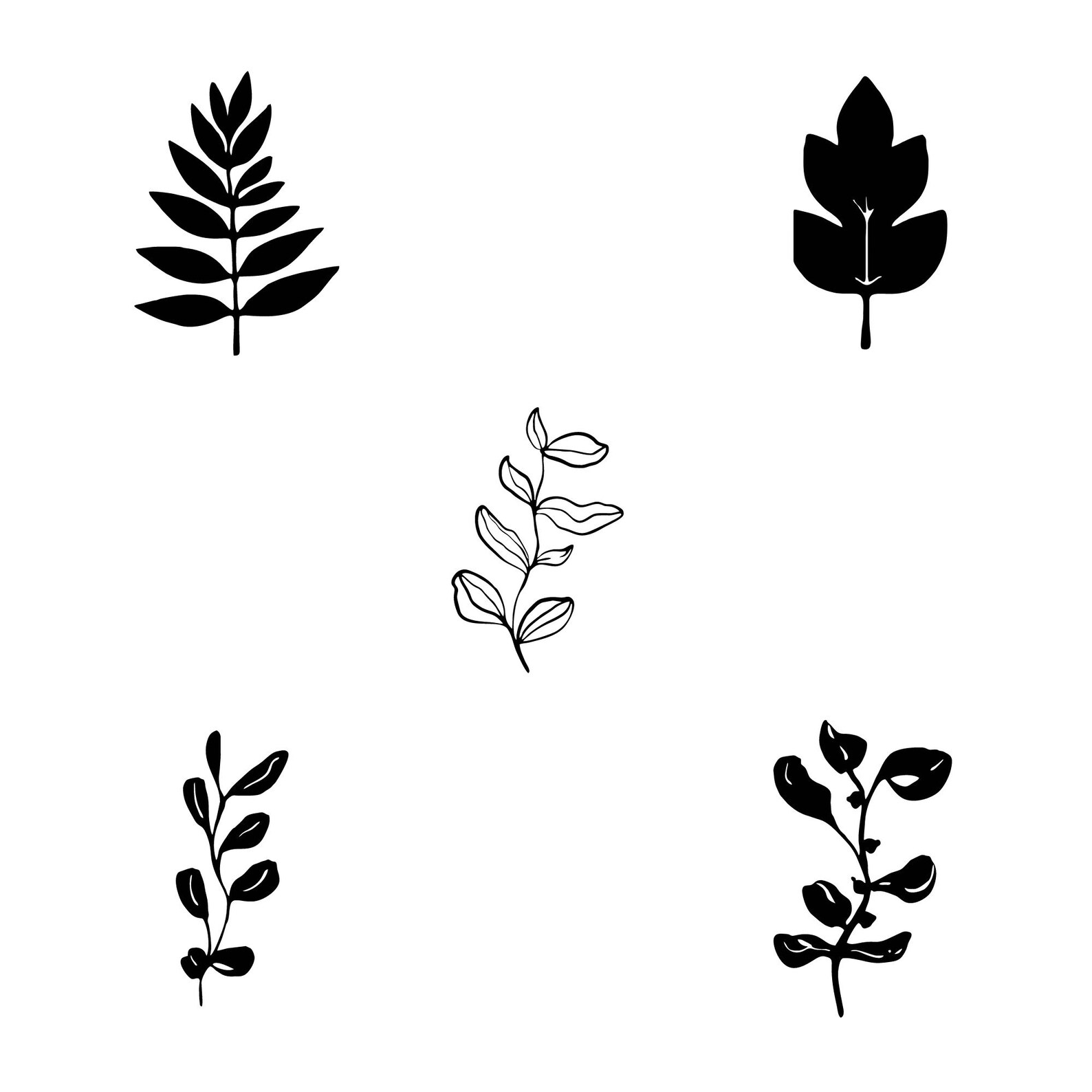 Botanical Leaves Svg Bundle, Botanical Leaves Clipart for Cricut ...