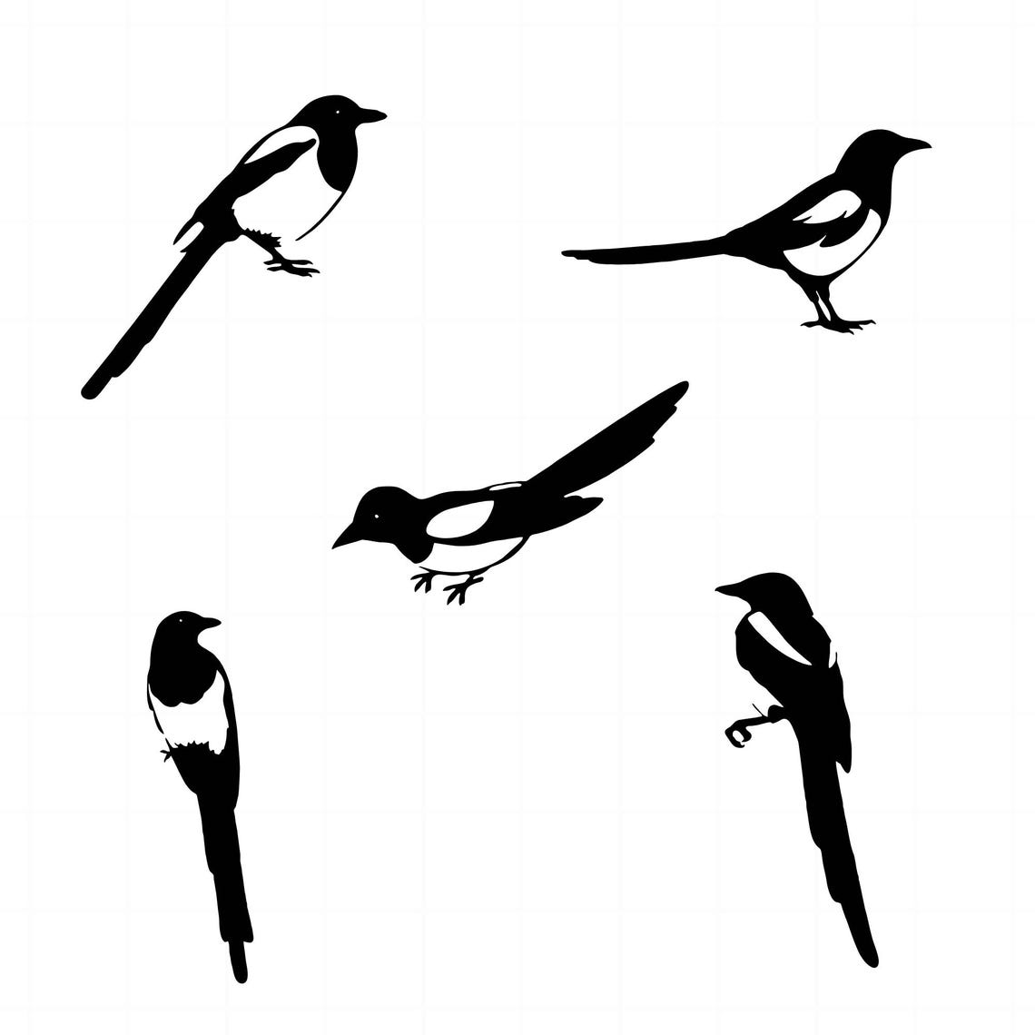Magpie Svg Bundle, Magpie Clipart for Cricut, Cute Magpie Silhouette ...