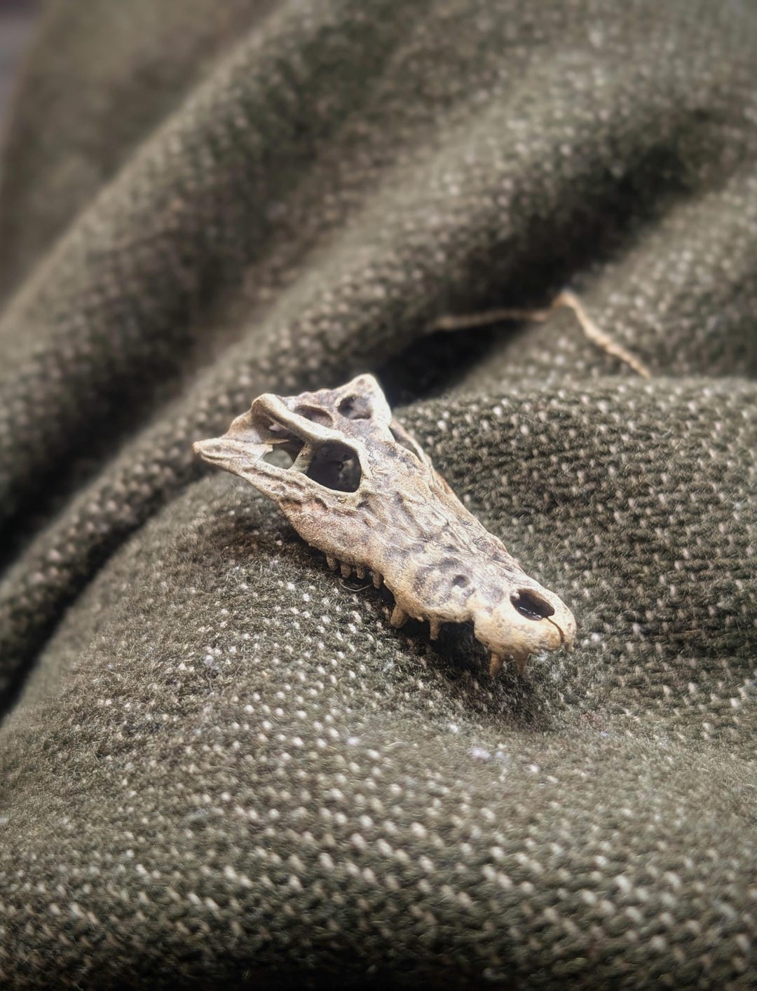 Miniature Alligator Skull Hair Clips - Etsy