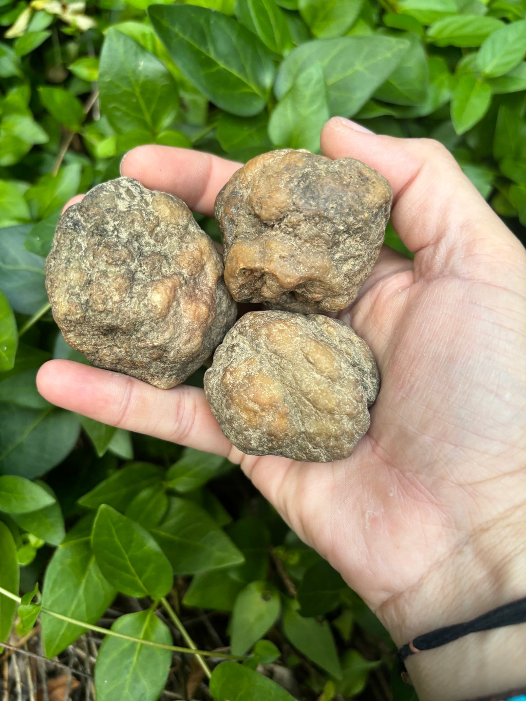 You Break Natural Geodes - Etsy
