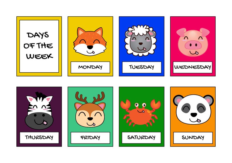 Mega Learning Flashcard Bundle | 200+ Pages of Educational Fun for Kids ...