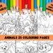 25 A4 Animal Colouring Pages - Printable PDF Digital Download - Etsy