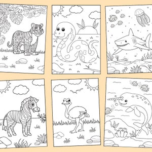 25 A4 Animal Colouring Pages - Printable PDF Digital Download - Etsy