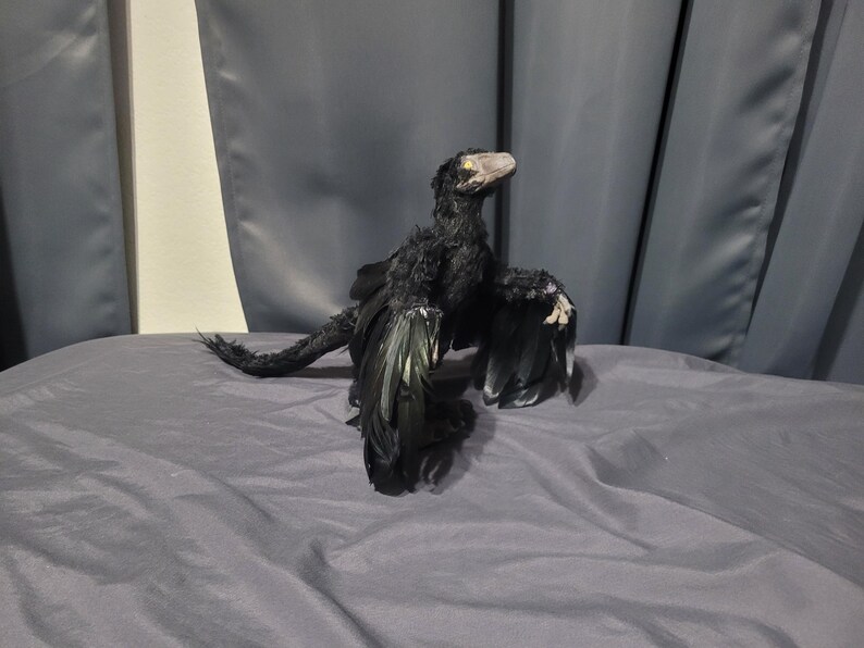 Life Sized Microraptor - Etsy