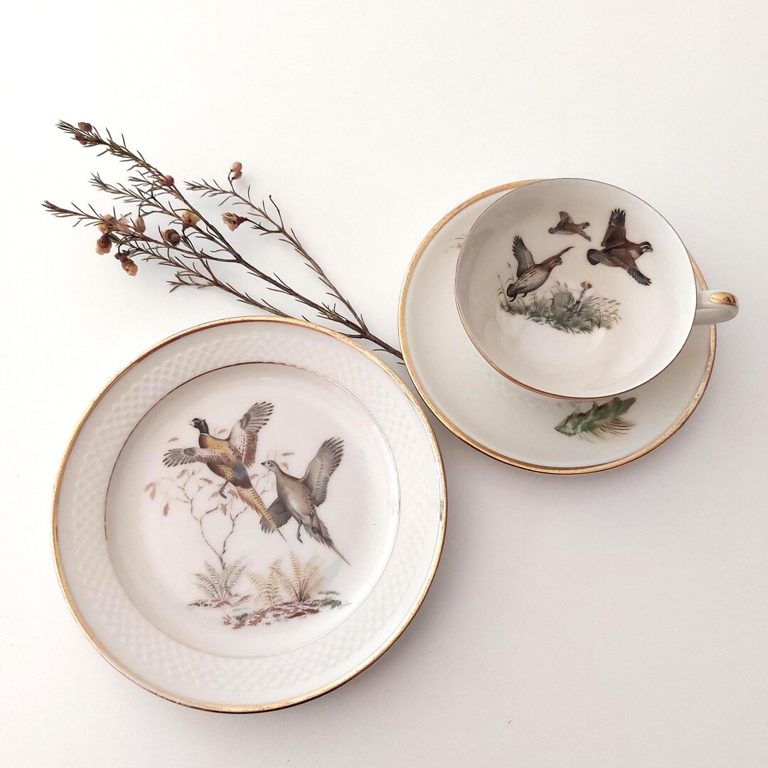 Vintage Rosenthal Bavaria Tea Trio: Thomas R Germany Bird Tableware ...