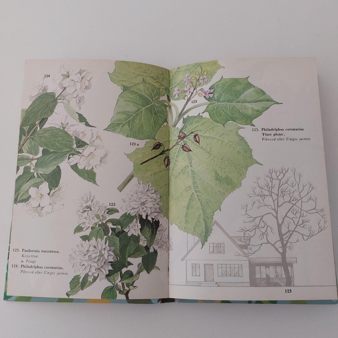 Vintage Danish Floral Book: 'bushes and Trees 2', 1972 Flora Danica ...