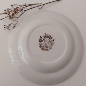 Vintage Wood & Sons | Burslem | Made in England | Dorset | Brown ...