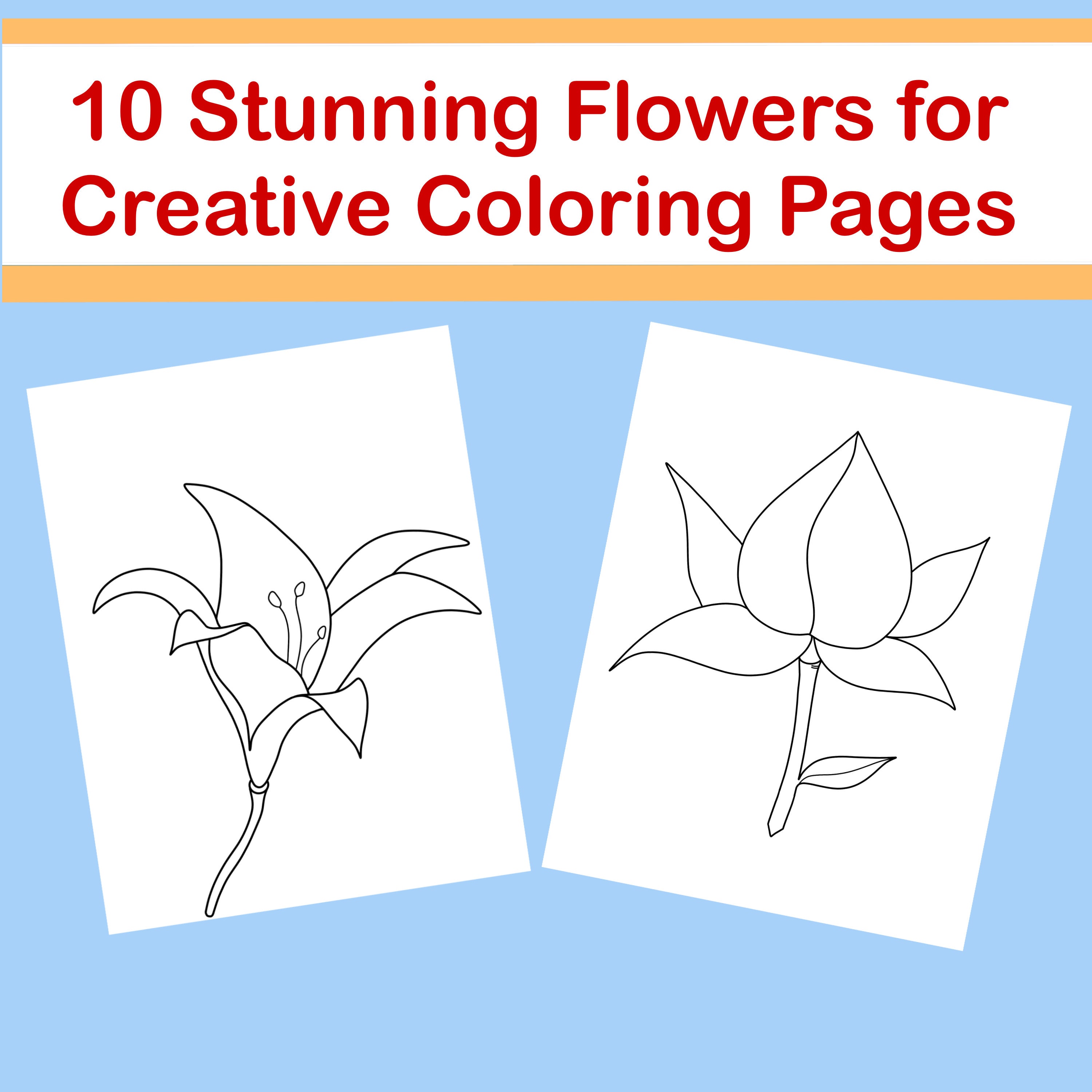 10 Flower Coloring Pages for Kids: Educational and Fun Printables for ...