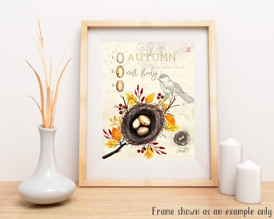 Autumn Bird Art / Bird Art Prints / Bird and Nest Art / Fall - Etsy